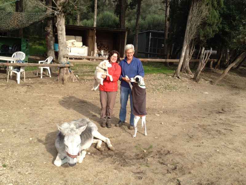 Corfu Donkey Rescue - Home