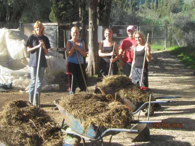 Corfu Donkey Rescue - Home